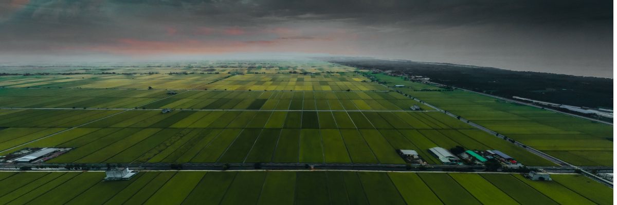 MSR Green City Phase 2 Bangalore | Plotted Projects